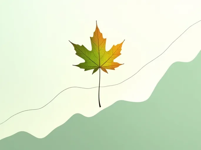Guizhou Maple Sapling Prices Rise Amid Surging Demand