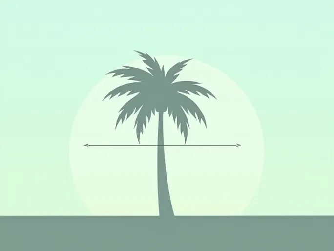 Zhangzhous Kentia Palm Prices Steady Amid 2025 Market Outlook