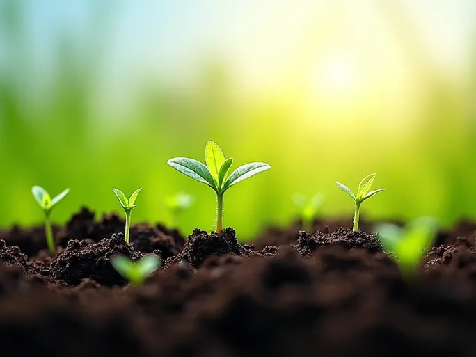 Planting A Beautiful Lawn From Seeds