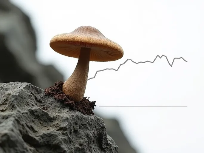 Changshas Kaifu District Rock Tripe Prices Hold Steady