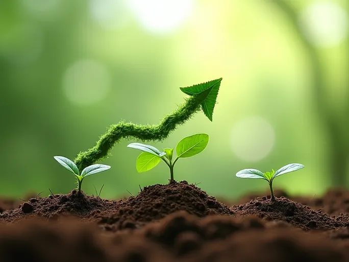 Yunnan Bajitian Seedling Market Grower Trends and Insights