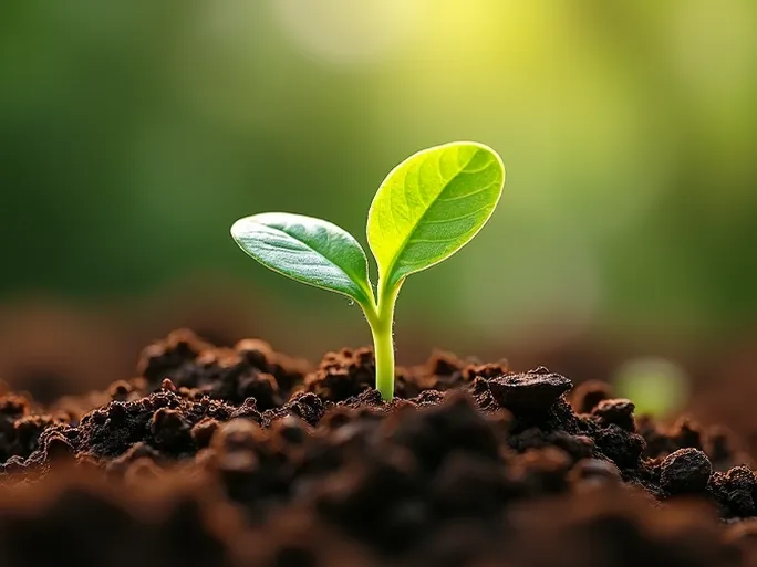 Hubeis He Shou Wu Seedling Market Shows Growth Trends