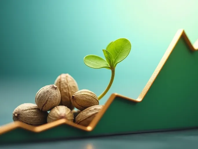 Premium Hubei Elm Tree Seeds Gain Market Traction