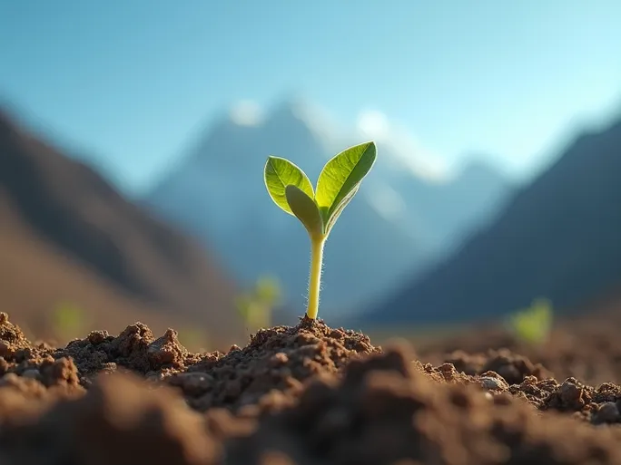Qinghai Pearl Bush Seed Prices Guide for Nurseries