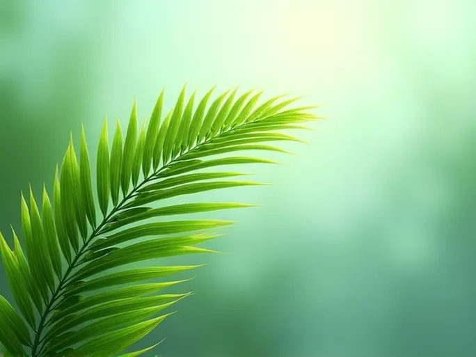 Bismarck Palm Prices Shift in Shaanxi China
