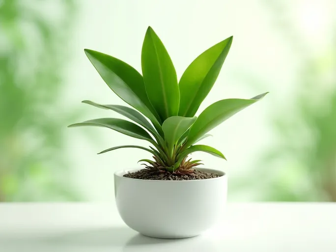 Home Cultivation Guide for Dendrobium Officinale Unveiled