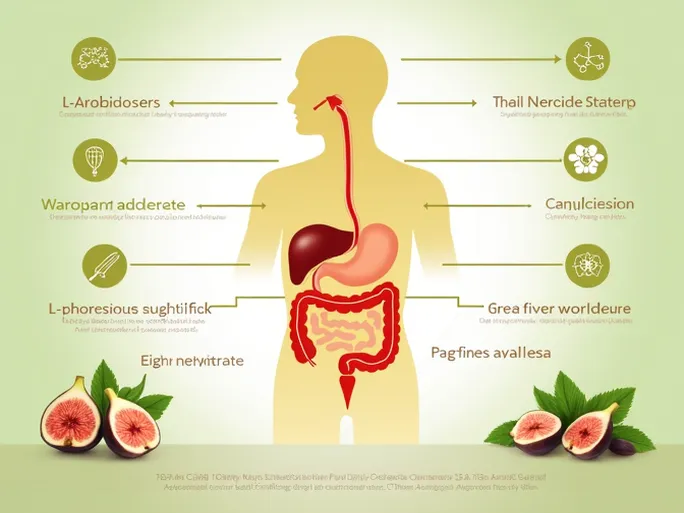 Study Links Larabinose Sugar to Improved Gut Health
