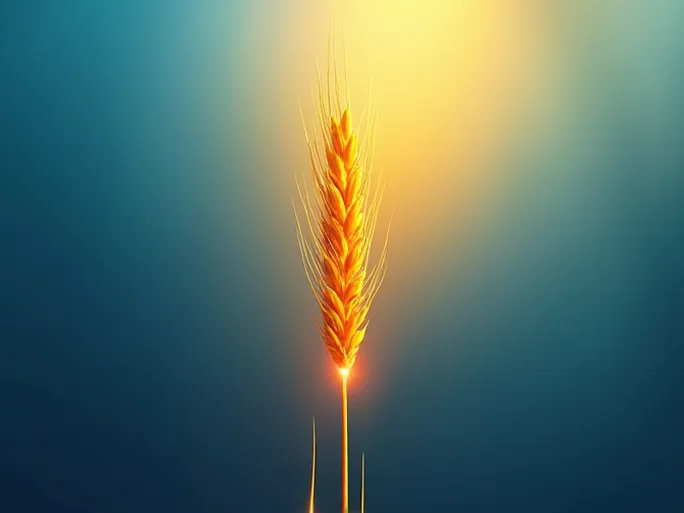 Farinfrared Tech Expands Premium Rice Cultivation Zones