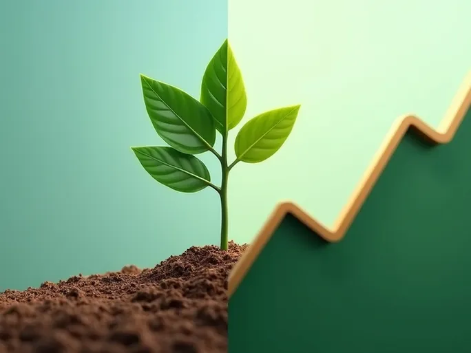 Market Trends and Tips for Buying Pecan Seedlings in Hubei