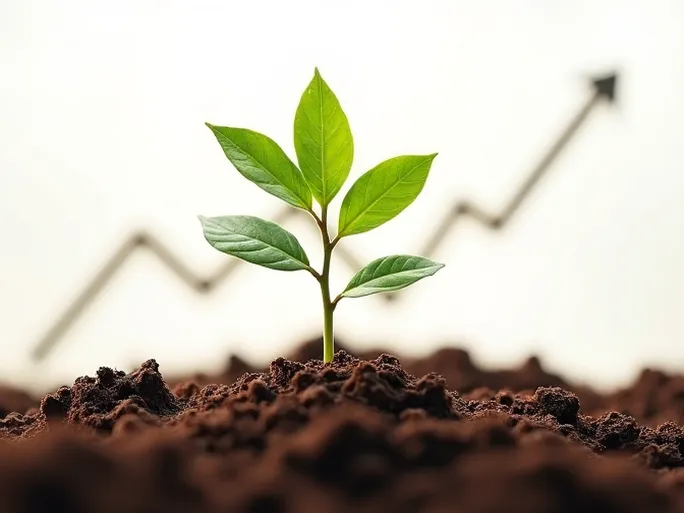 Chinas Hubei Cotton Market Grower Strategies and Trends