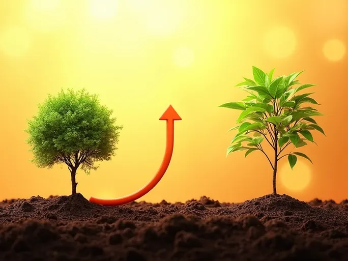 Sichuan Citrus Sapling Prices Fluctuate for Navel Orange Seedlings