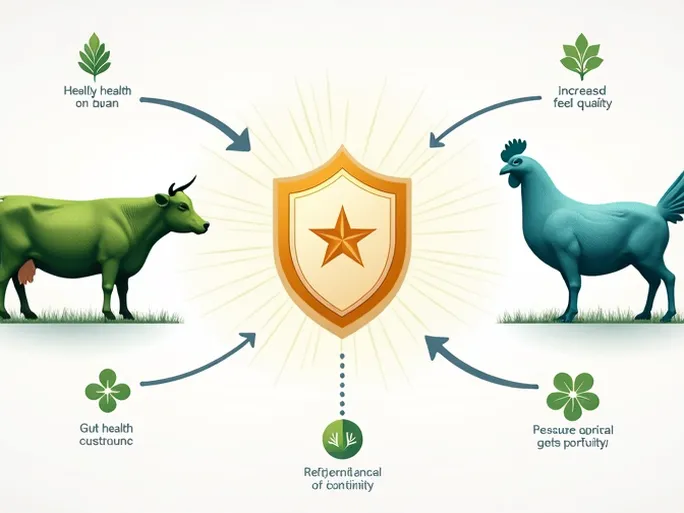 EU Approves Probiotic Strain for Improved Animal Feed