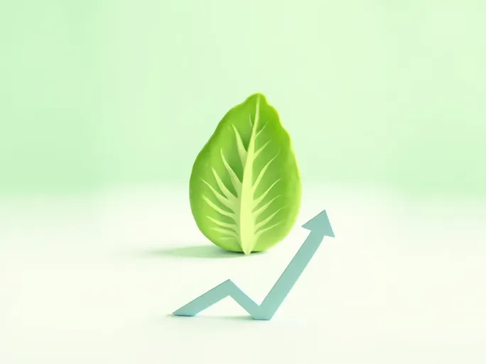 Jinan Lettuce Seed Prices Rise in August 2025