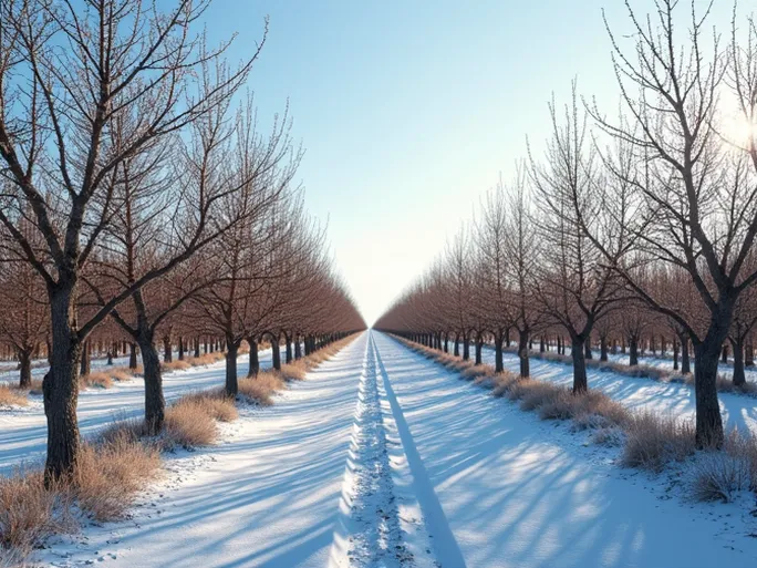 Experts Share Winter Pruning Tips for Optimal Apple Harvests