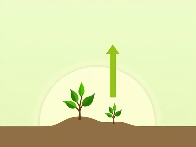 Seedling Prices Volatile in Hubei Amid Rising Demand