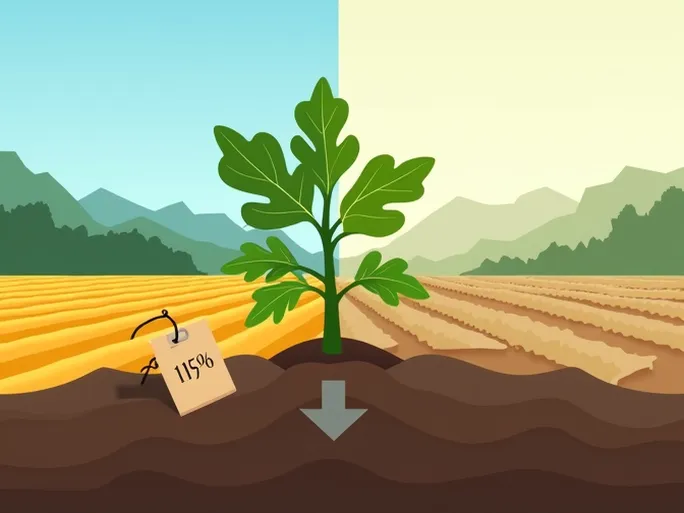 Chinas Pumpkin Seedling Prices Vary by Region