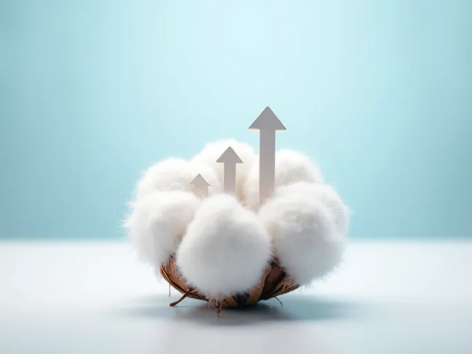 Highcount Combed Cotton Market Trends and Buying Guide