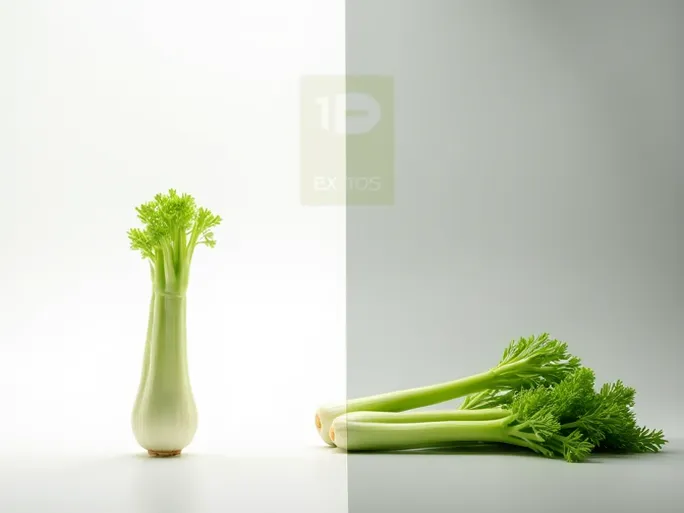 White Celery Cultivation Secrets and Market Value Explored