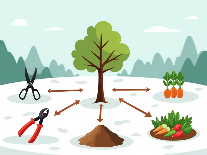 Winter Pruning Tips for Healthy Fruit Trees