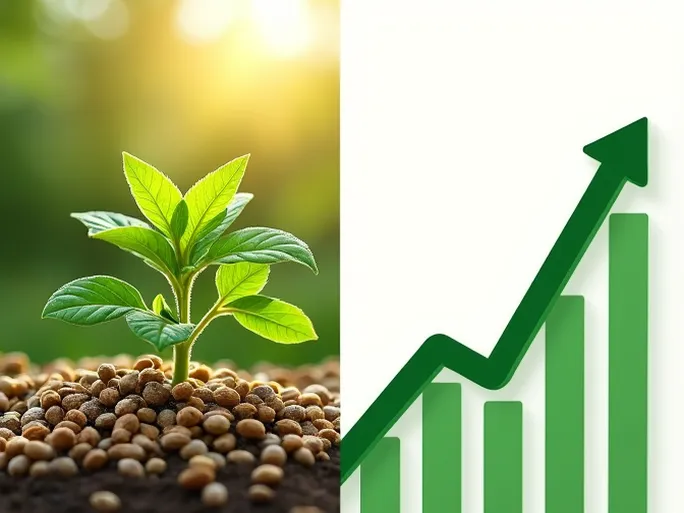 Jiangsus Devils Beggarticks Seed Market Quality Guide Trends