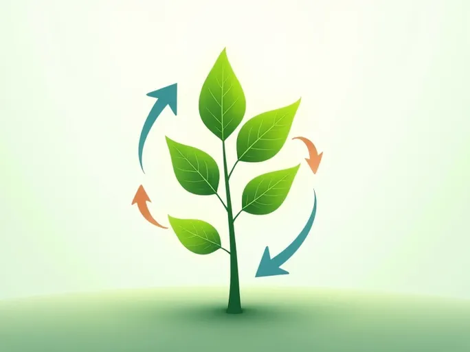 Shaanxi Tallowtree Market Price Trends and Procurement Insights