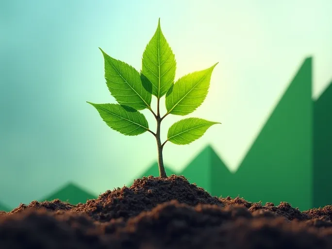 Beech Tree Prices in Inner Mongolia Show Steady Growth