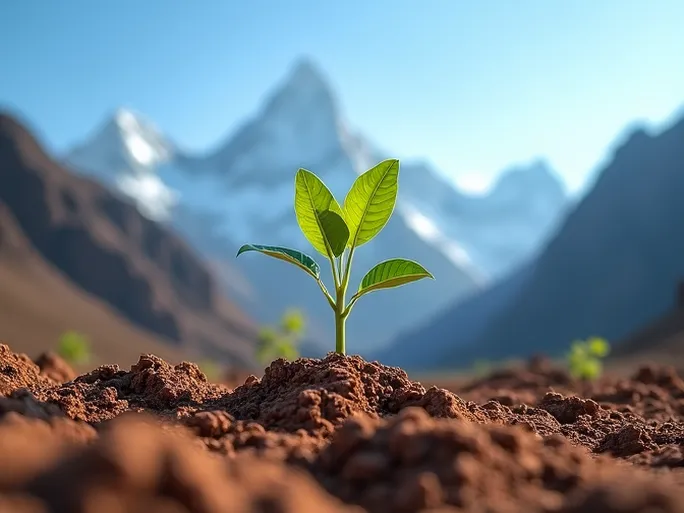 Qinghai Tests Highaltitude Durian Farming for New Market