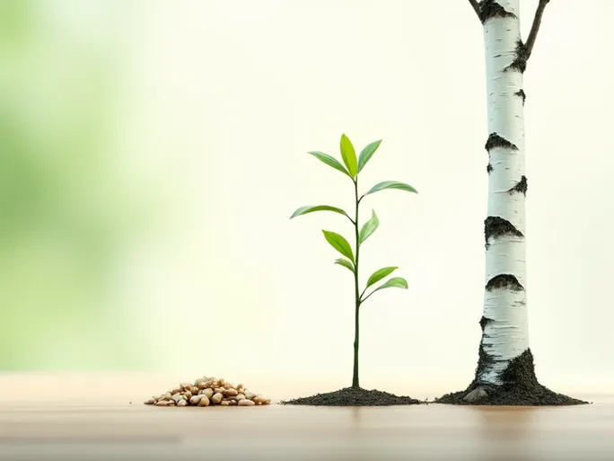 Anhui Birch Seed Sourcing Boosts Planting Success