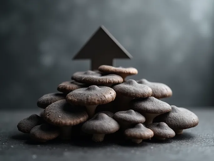 Chinas Mushroom Market Faces Regional Price Gaps Shifting Trends