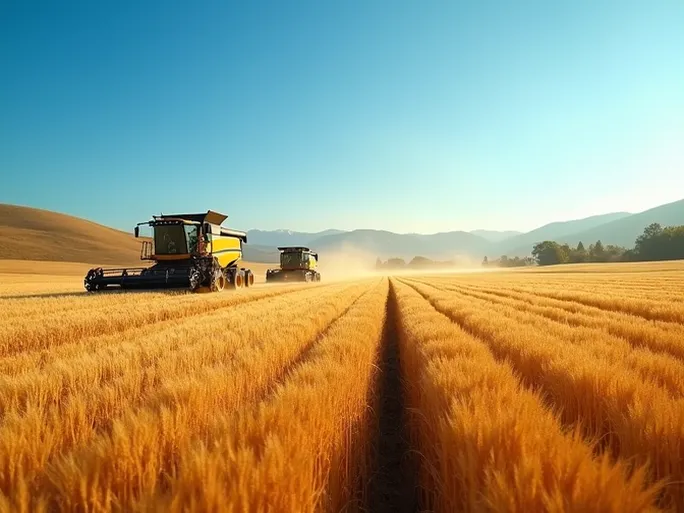 Shandong Wheat Harvest Booms with Smart Farming Automation