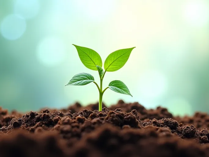 Qinghai Faba Bean Seedling Prices Market Analysis and Trends