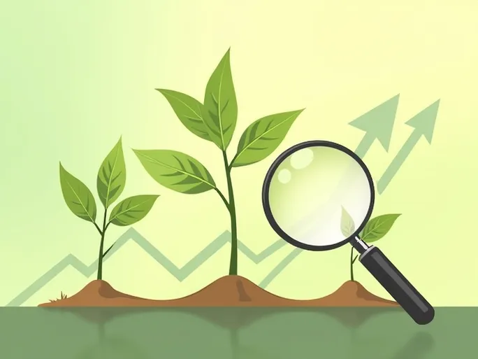 Prices and Quality Trends in Inner Mongolias Curcumae Seedling Market