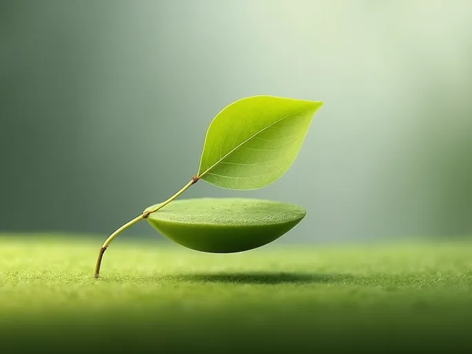 Jiangsu Birch Seed Prices Hold Steady As Market Awaits Shift