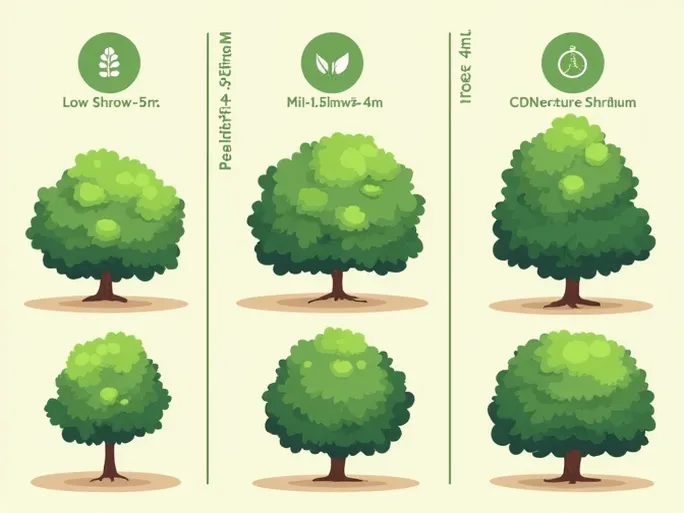 Evergreen Shrubs Ideal for All Garden Sizes