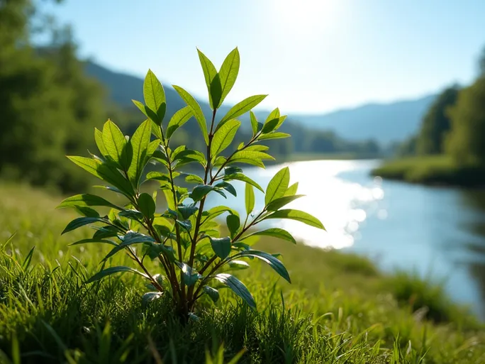 Arctic Willow Resurgence Signals Ecological Recovery