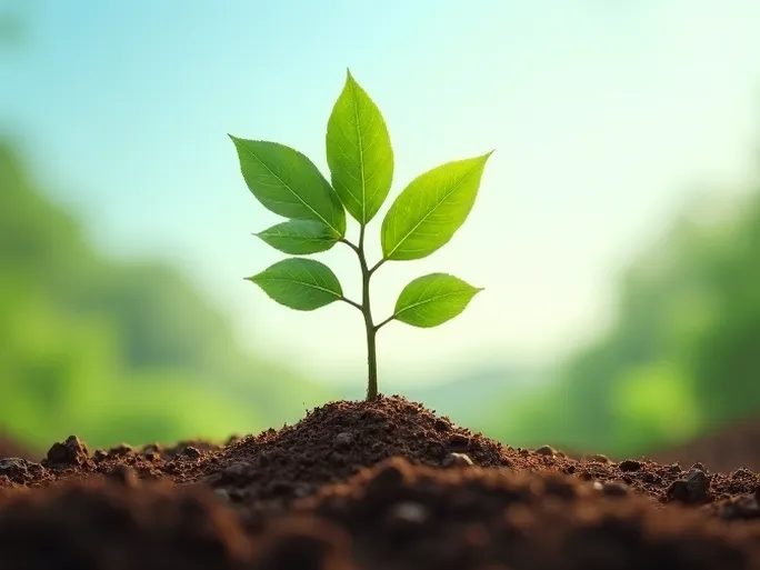 Chinas Sichuan Cangxi Pomelo Sapling Prices Hold Steady