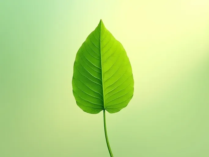 Jilins Eighthorn Ginseng Market Faces Price Volatility Uncertain Future