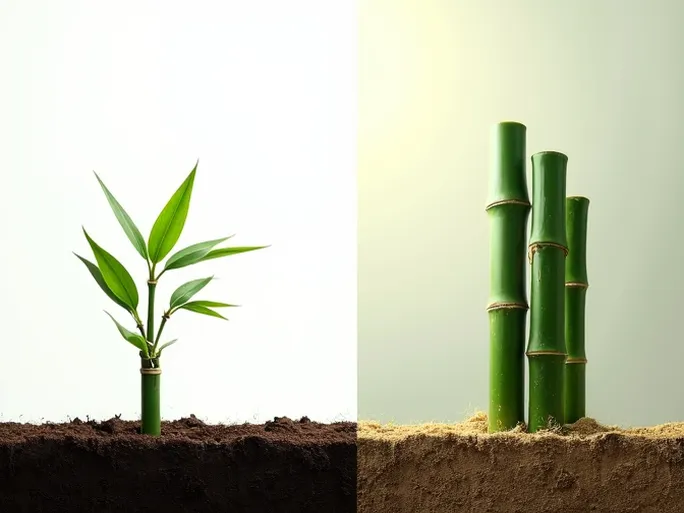 Hubei Bamboo Market Sees Strong Leizhu Demand Ample Round Bamboo Supply