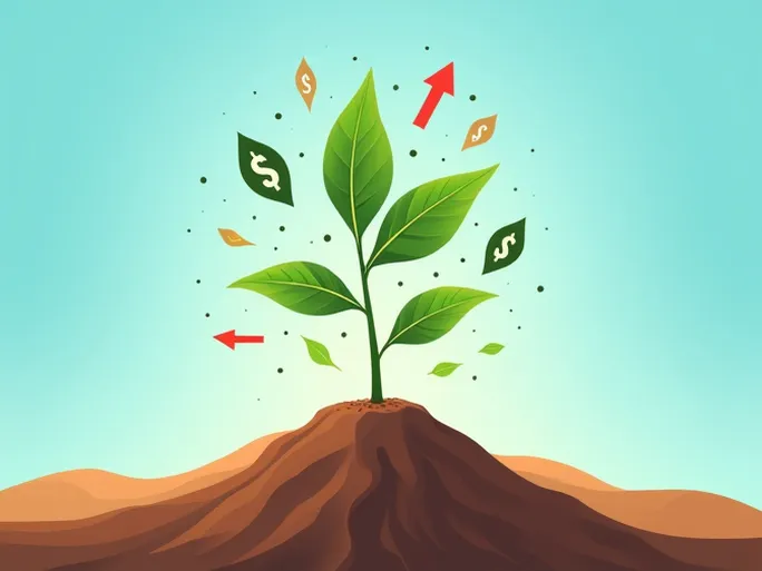 Chinas Inner Mongolia Sees Rising Demand for Star Anise Seedlings