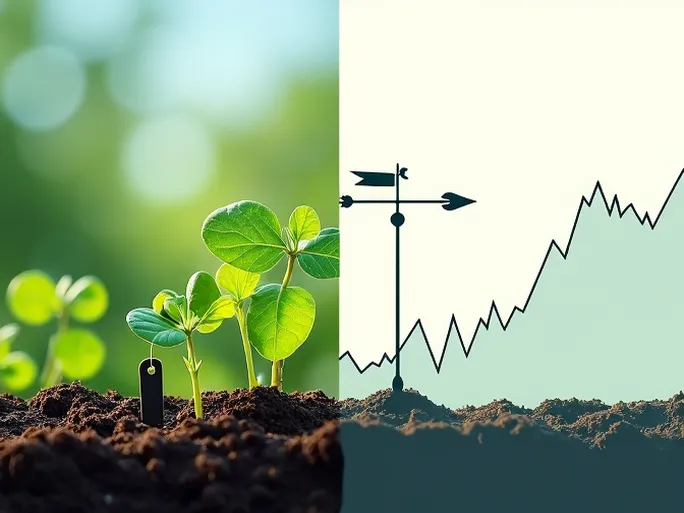 Shaanxi Pea Seed Market Trends and Price Forecasts
