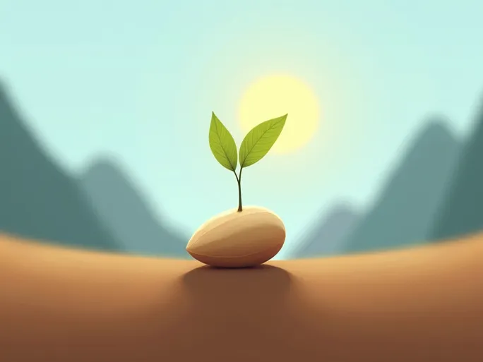 Tibets Balsa Wood Seed Market A Sourcing Guide