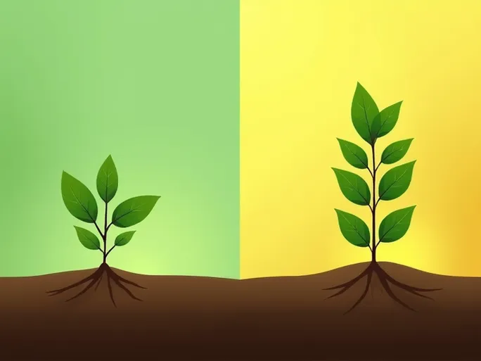 Zhejiang Citrus Seedling Prices Vary by Region