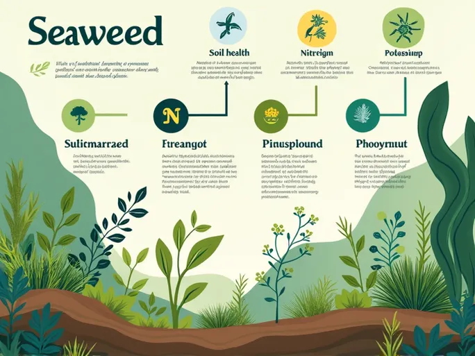 Sustainable Seaweed Products Gain Popularity for Multiple Benefits