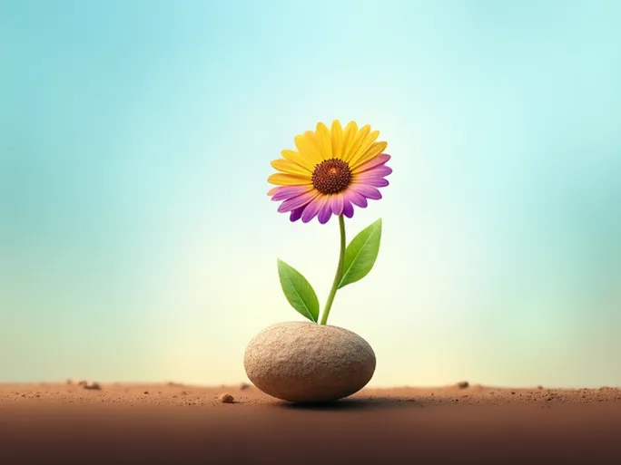 Inner Mongolia Seed Prices Trends and Analysis