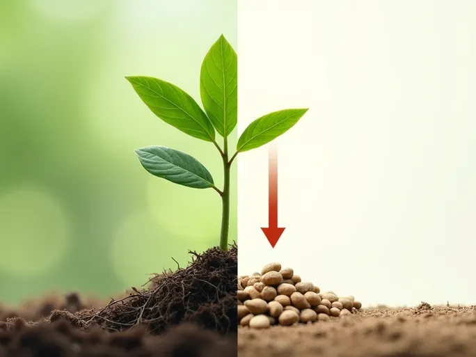 Chongqing Baiji Seed Prices Shift Amid Supplydemand Changes