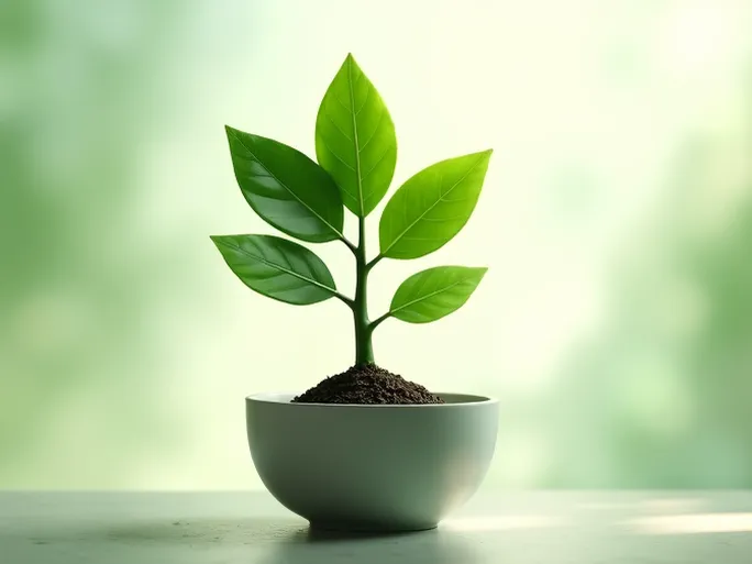Shaanxi Rubber Tree Market Buyers Guide to Quality Pricing