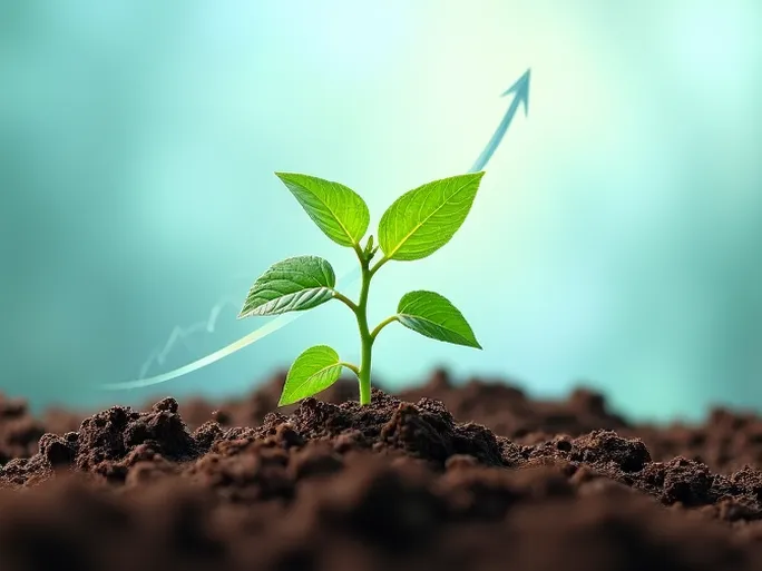 Taiwan Cucumber Seedling Prices Shift Farmers Adjust Strategies