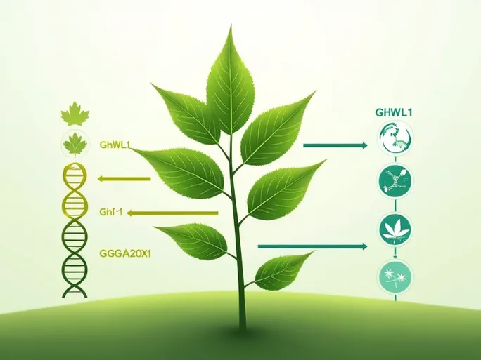 Study Uncovers Genetic Mechanisms in Cotton Leaf Development