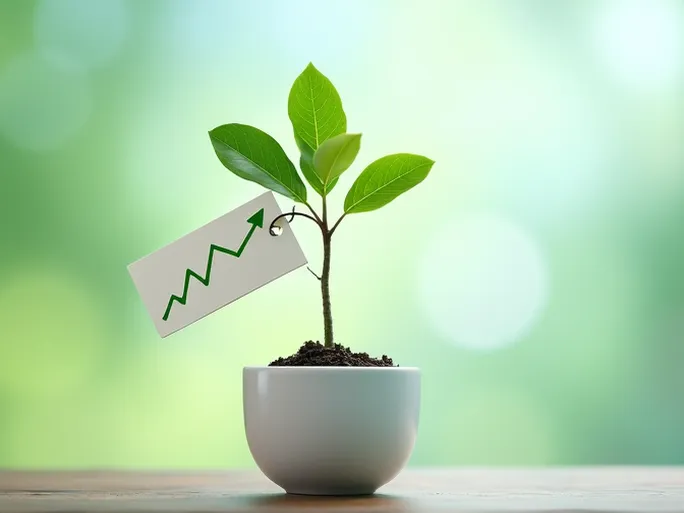 Shaanxis 2025 Jujube Sapling Prices Show Market Shift