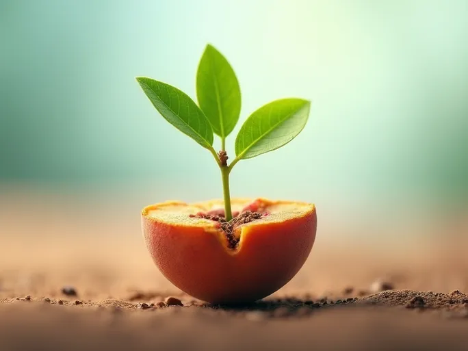 Qinghai Jingtao Peach Seeds Market Trends and Growth Outlook